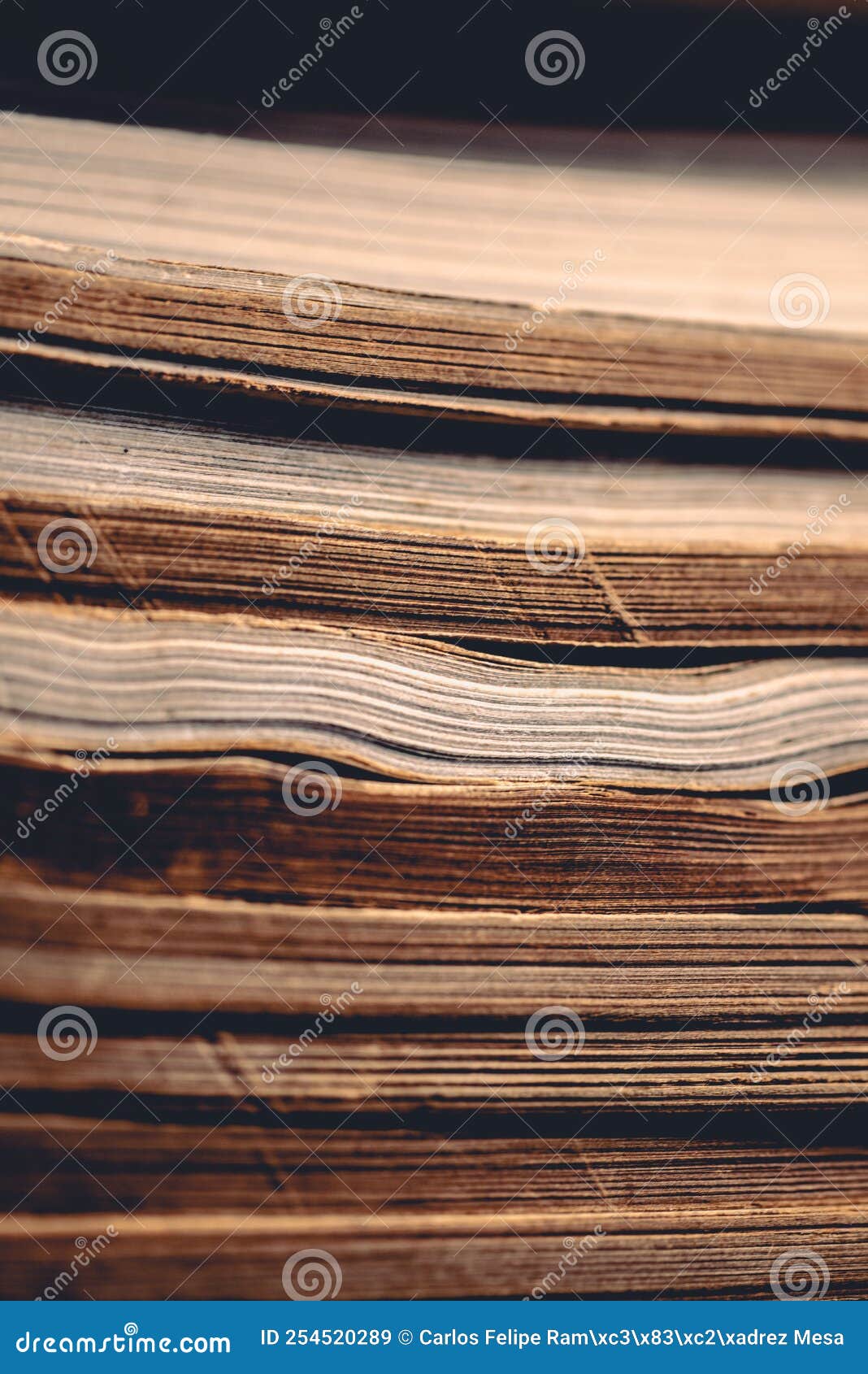 Old Vintage Book Frame with Clear Pages Stock Image - Image of room ...