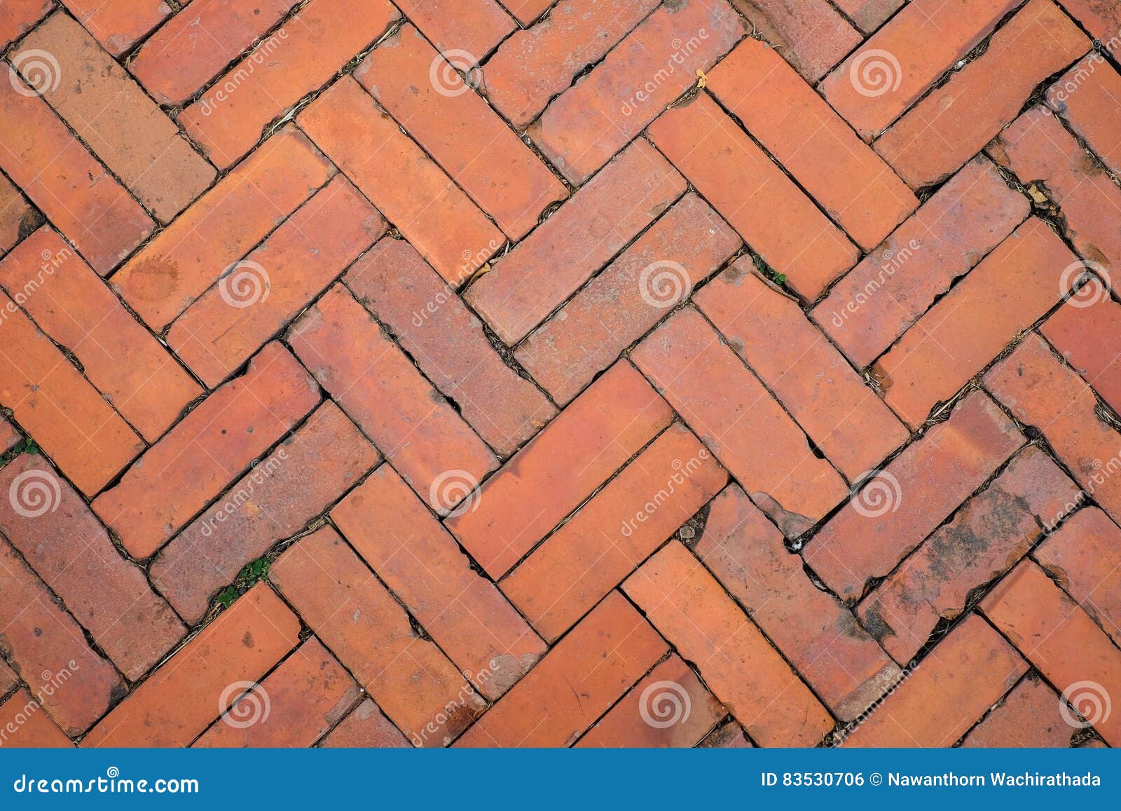 23,486 Brick Walkway Background Texture Stock Photos - Free & Royalty ...
