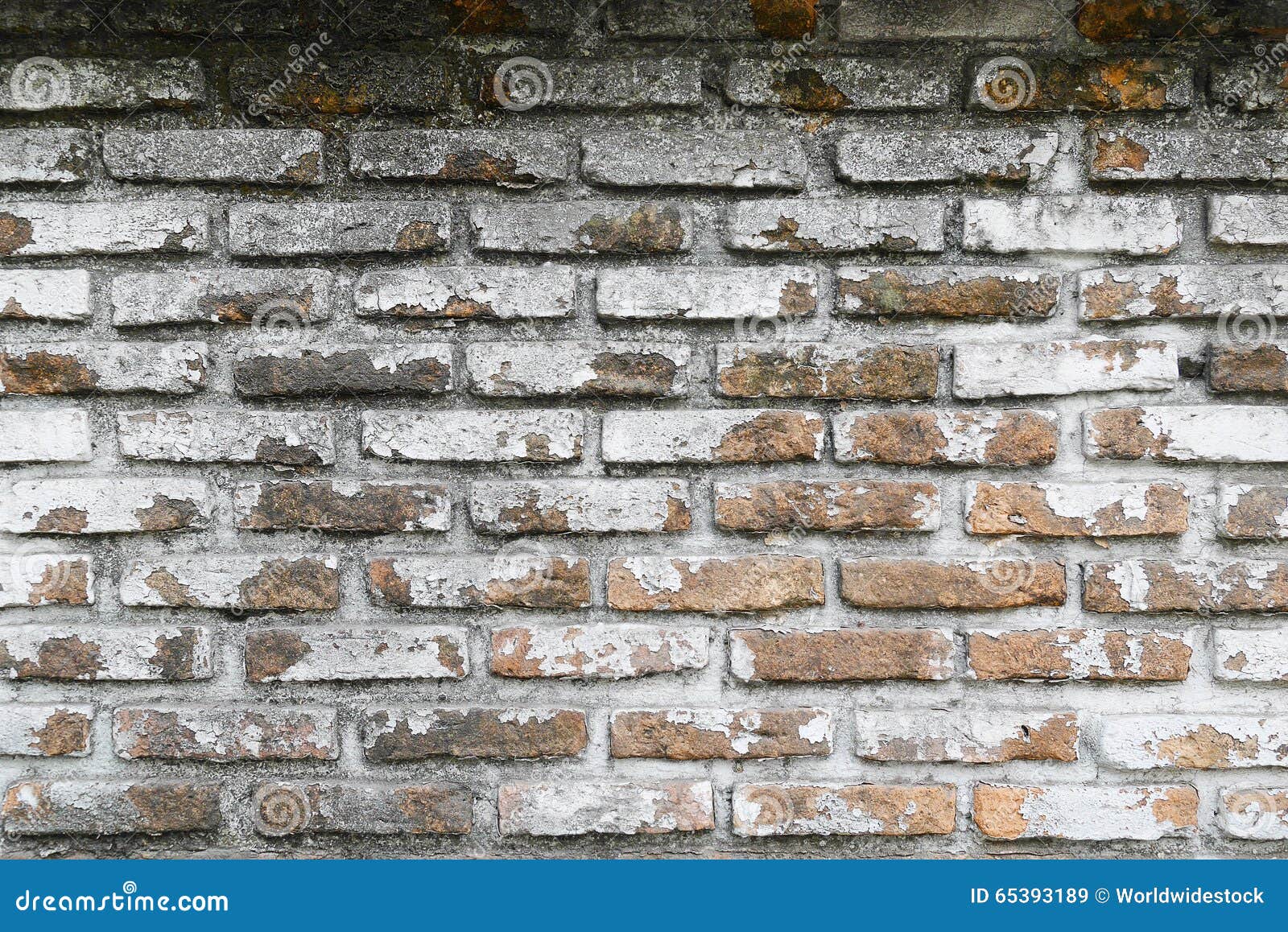 Old vintage brick wall stock image. Image of architecture - 65393189