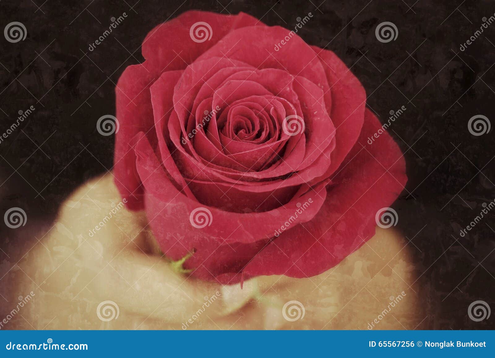 Old Vintage Grunge Texture with Red Rose Stock Photo - Image of ancient ...