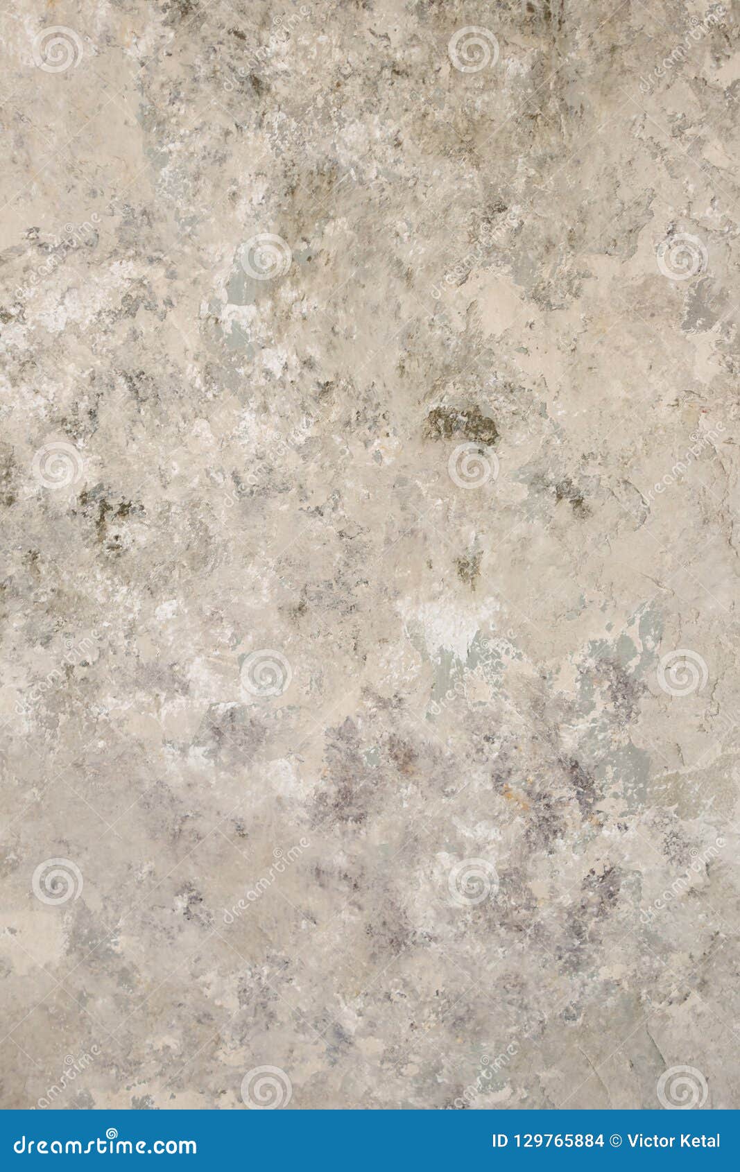 Old Vintage Grungy Plaster Painted Wall Texture Background . Gray ...