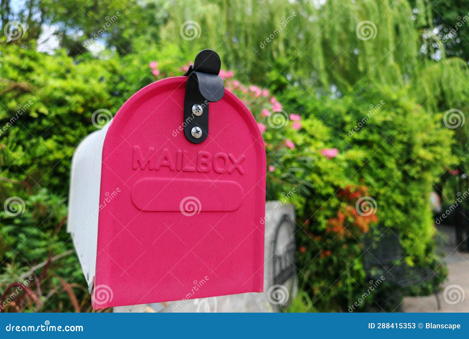 Old Vintage Mail Box at Garden Surrounded by Tree Stock Image - Image ...