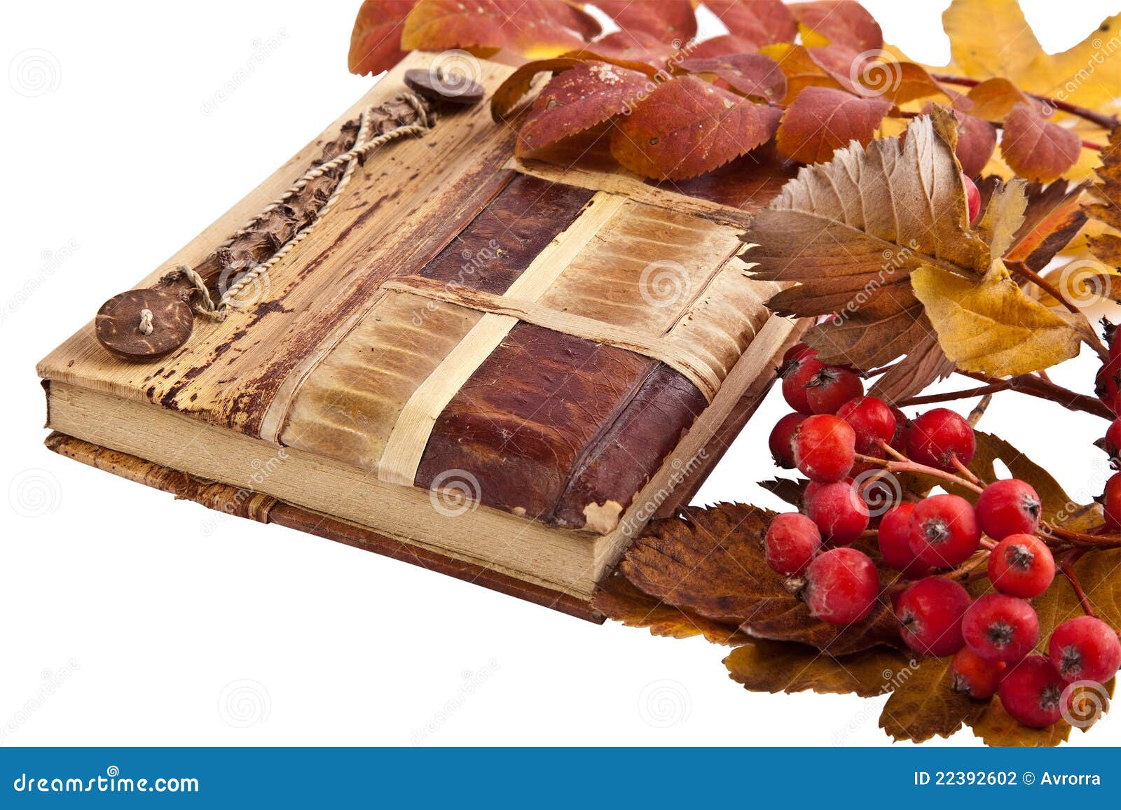 Old Vintage Notepad and Autumn Leaves Stock Photo - Image of notepad ...