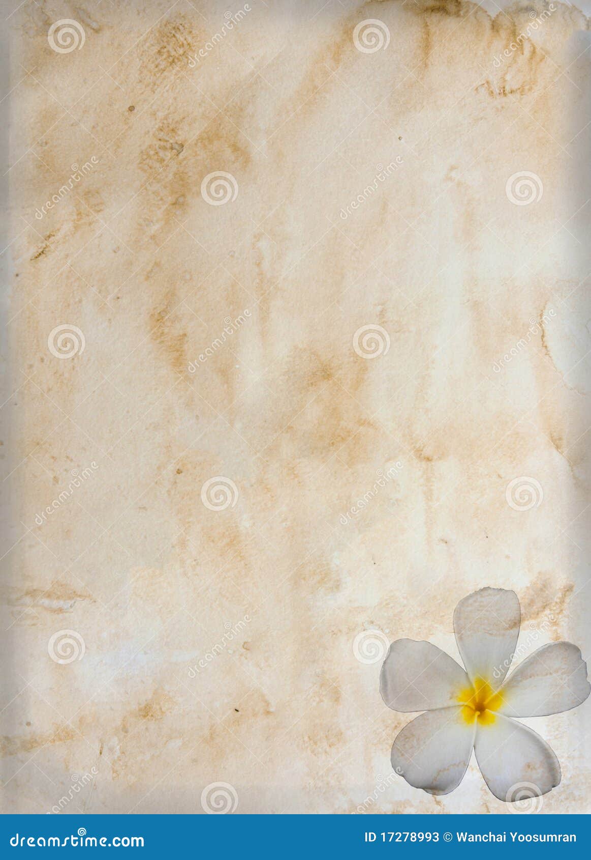 Old Vintage Paper with Flower Stock Image - Image of rough, aged: 17278993