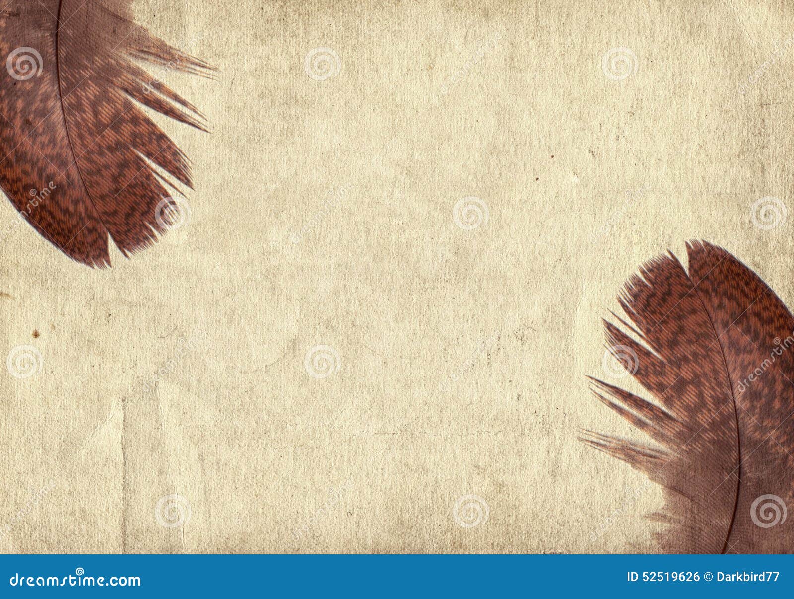 Old Paper With Feather Background