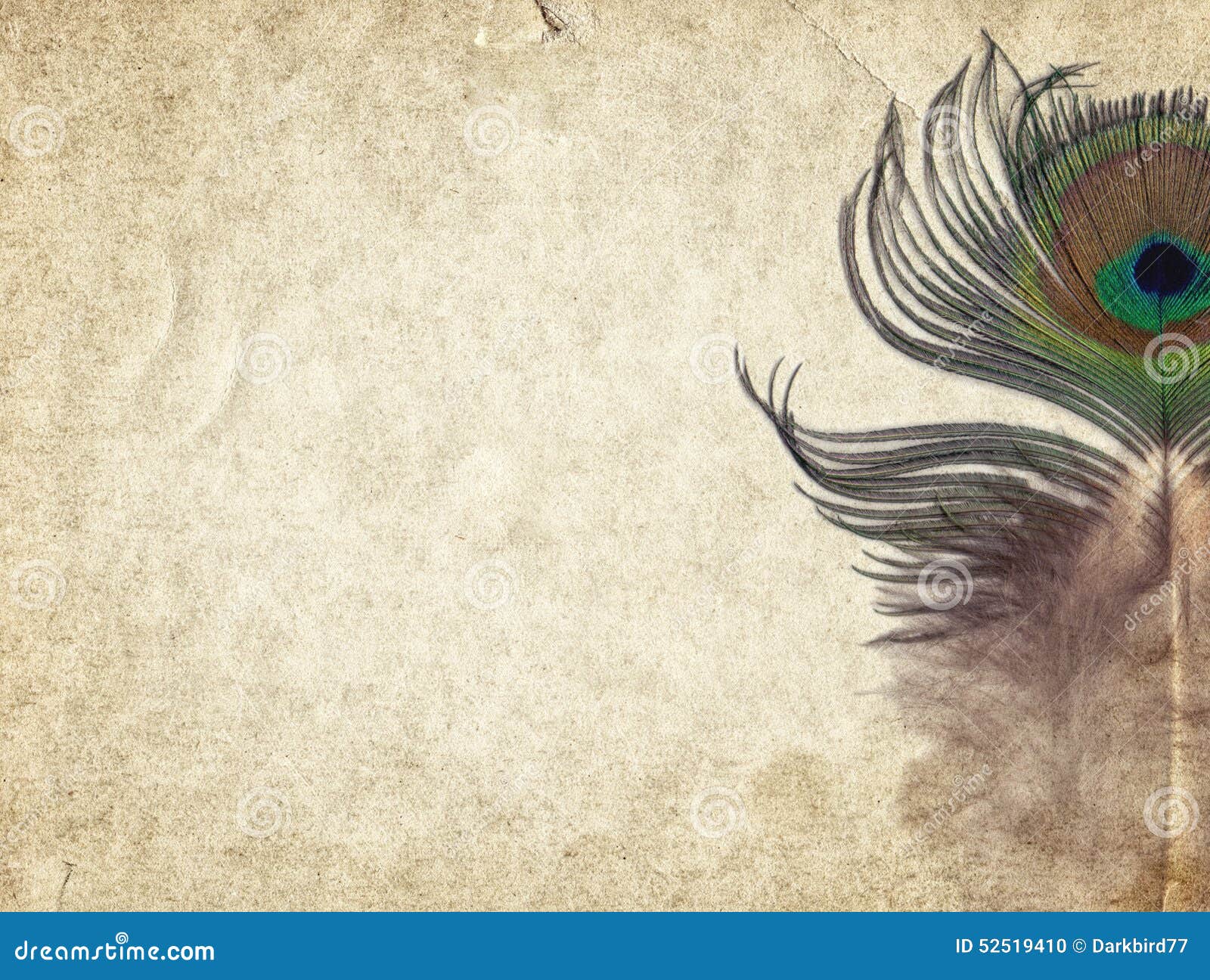 Old Paper With Feather Background