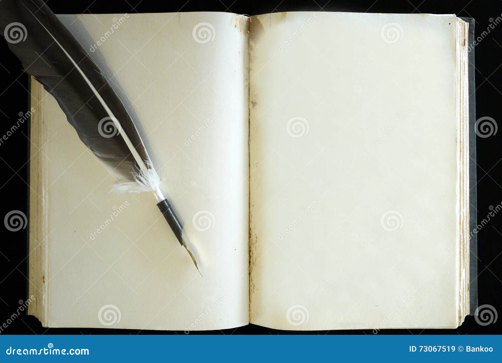 746 Old Vintage Retro Book Blank Page Feather Pen Stock Photos - Free ...