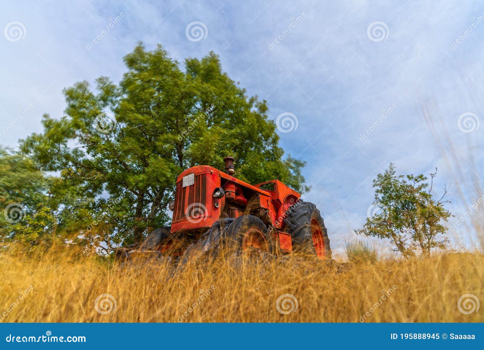 Old Vintage Tractor Abandoned Under the Tree Stock Image - Image of ...