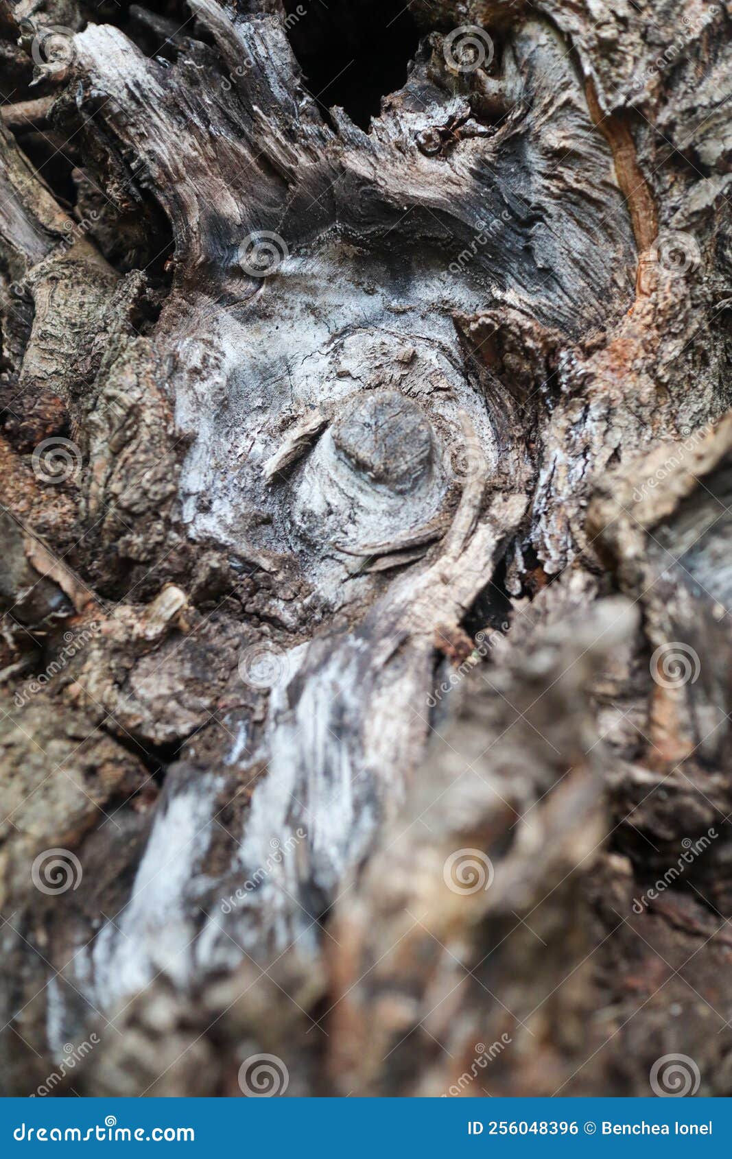 Old Vintage Wood Element Background Stock Photo - Image of material ...