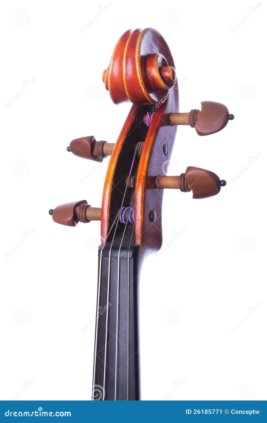 Old Violin Head Stock Image | CartoonDealer.com #26185771