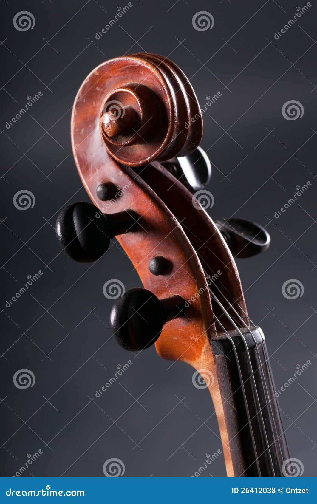 Old Violin Head Gray Background Stock Photos - Free & Royalty-Free ...
