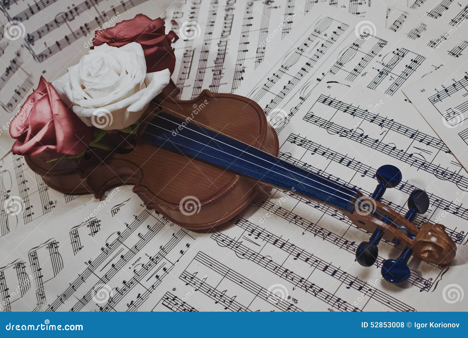 Old Violin with Musical Notes and Rose Stock Photo - Image of arts ...