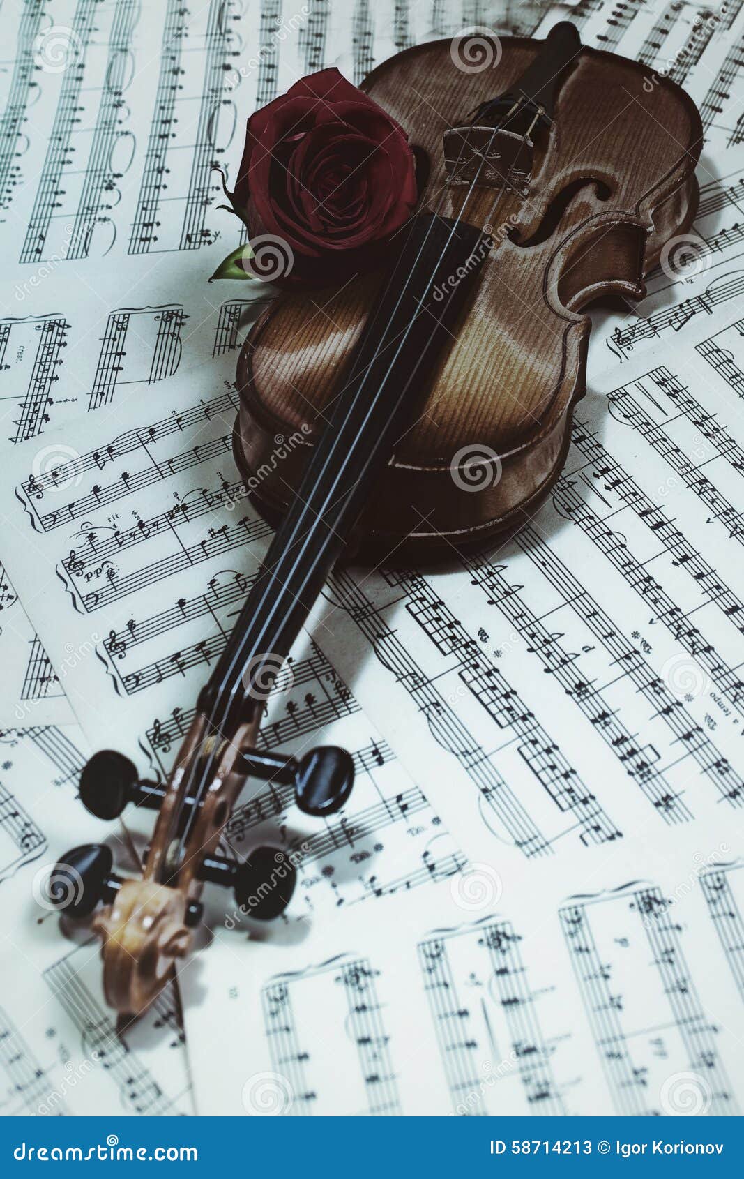 Old Violin with Musical Notes and Rose Stock Image - Image of string ...