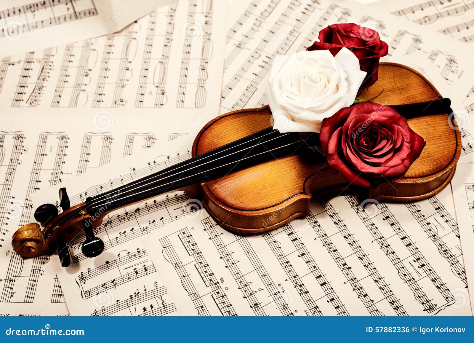 Old violin stock photo. Image of antique, theater, cultures - 57882336