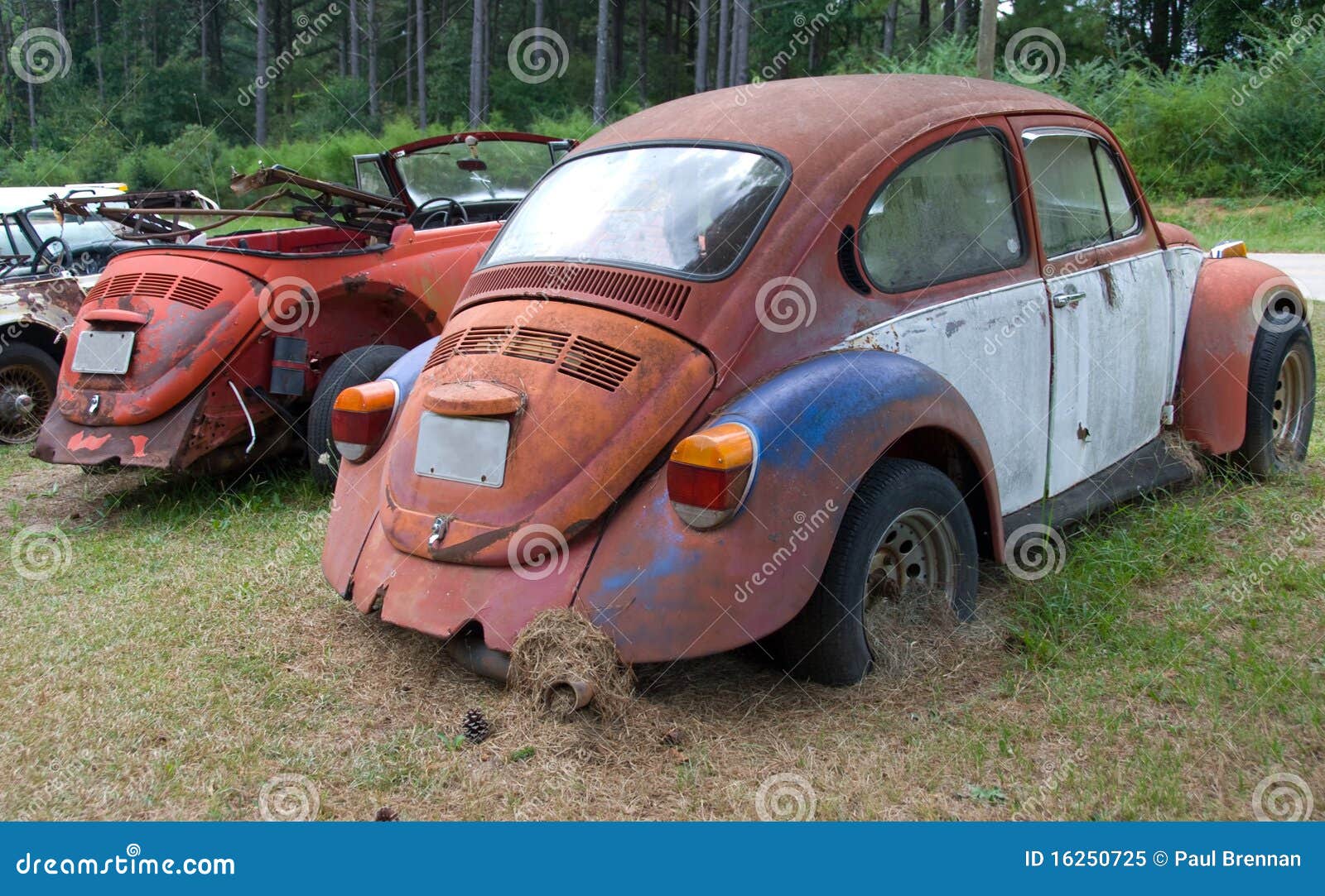 Old Volkswagen cars stock image. Image of yard, beetle - 16250725