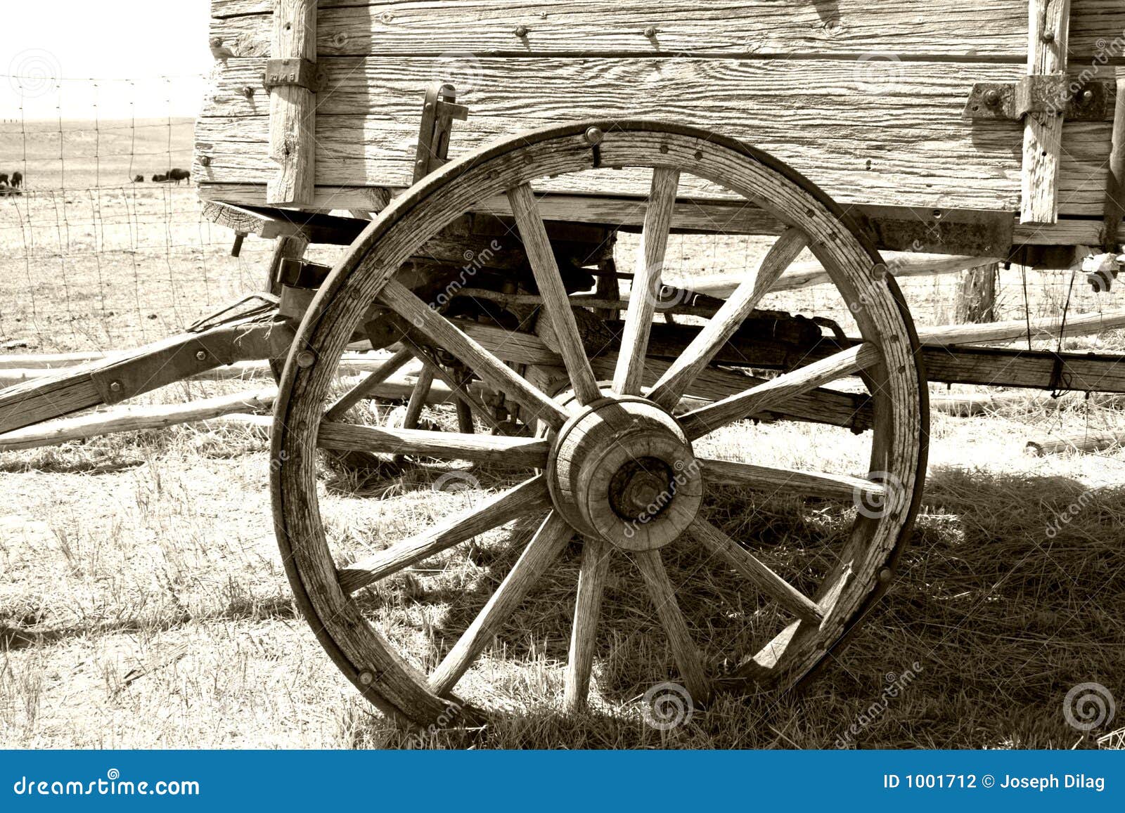 Old wagon wheel stock photo. Image of wheel, shipping - 1001712