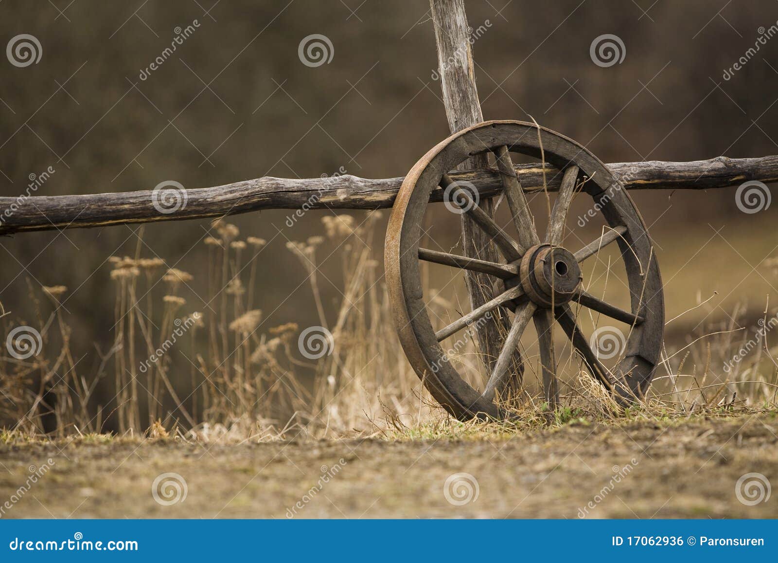 Old wagon wheel stock photo. Image of aged, history, classic - 17062936