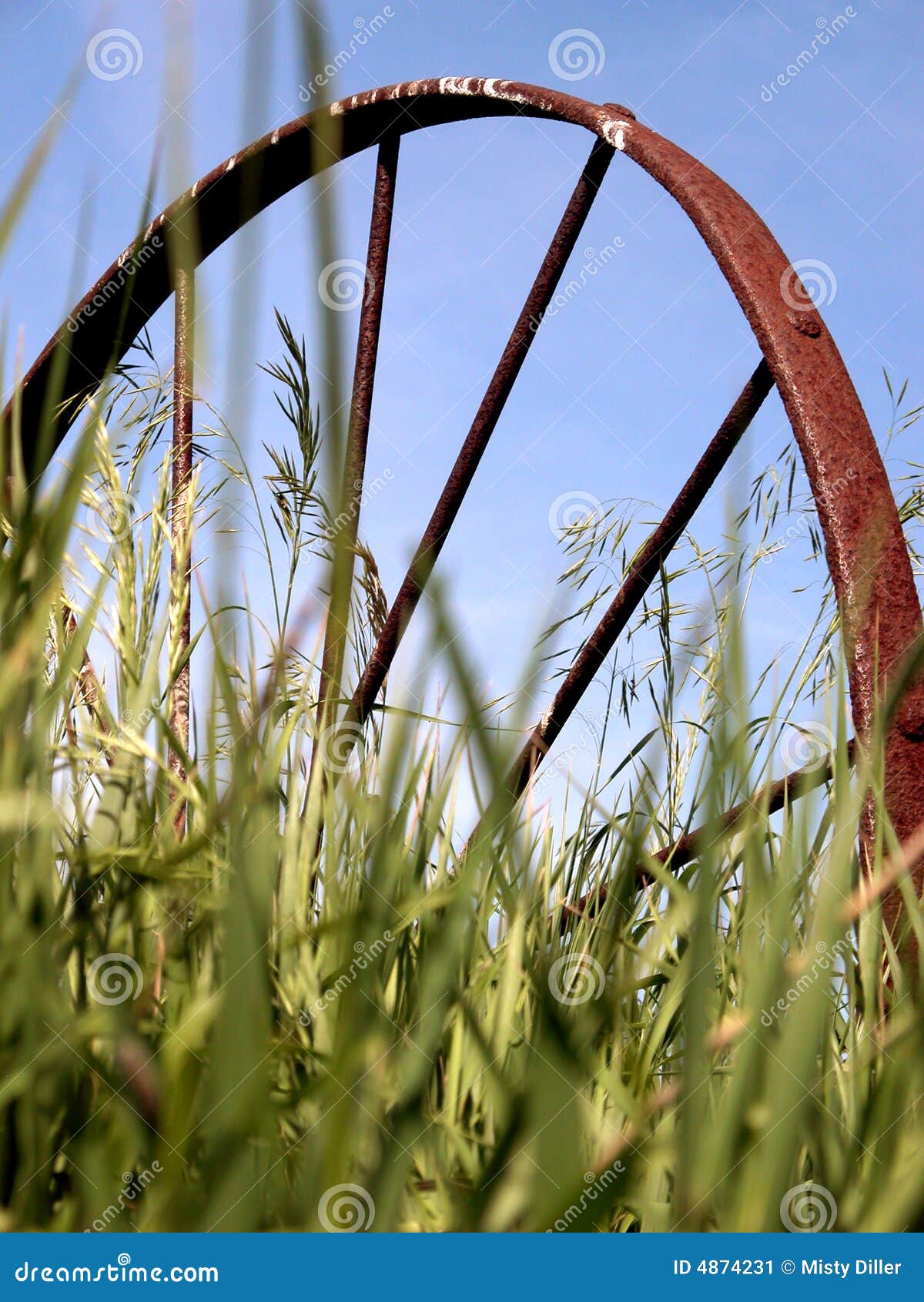 Old Wagon Wheel in Grass stock image. Image of classic - 4874231