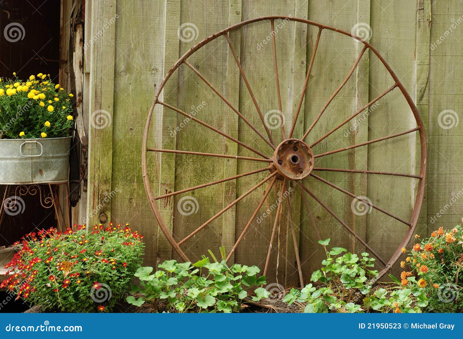 Old Wagon Wheel Leaning on Barn Stock Image - Image of aged, farm: 21950523