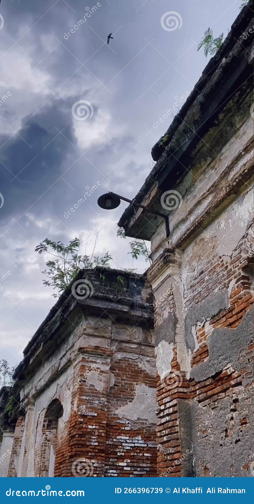 The Old walk stock image. Image of walk, oldwalk - 266396739