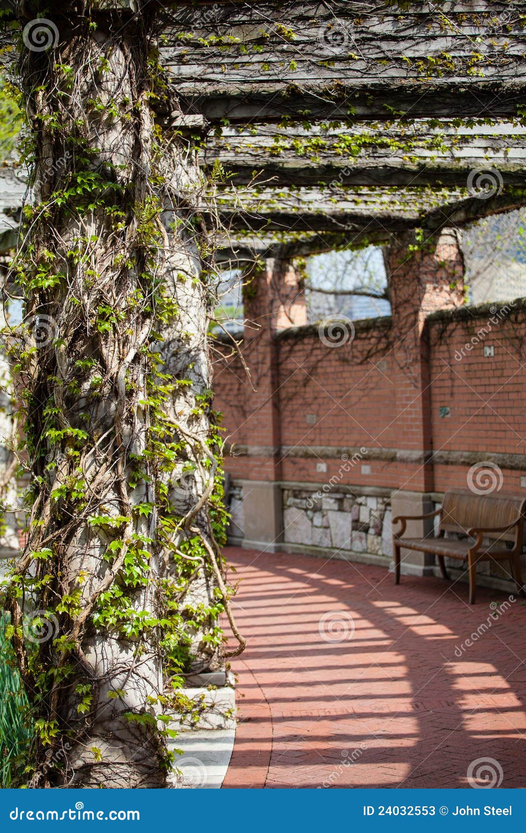 Old walkway stock image. Image of outside, walkway, flora - 24032553