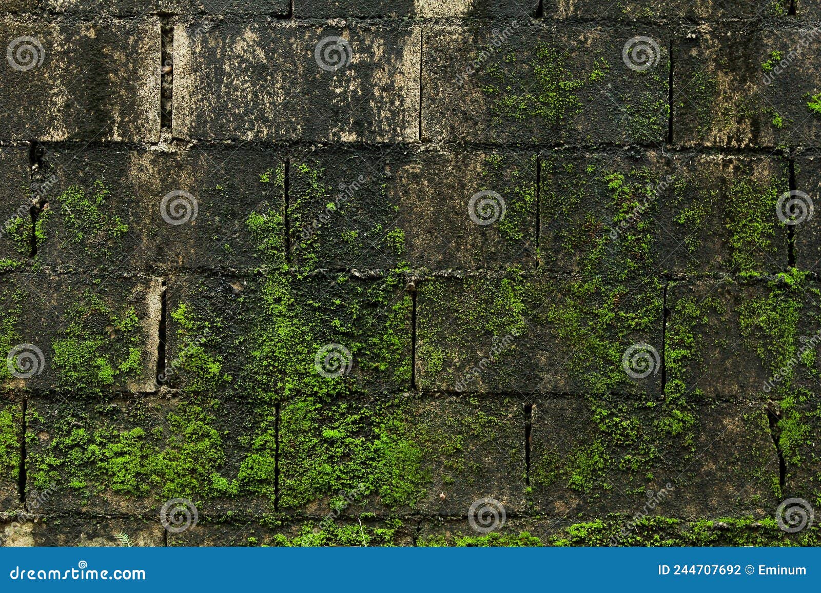 Old Wall brick with moss. stock photo. Image of green - 244707692