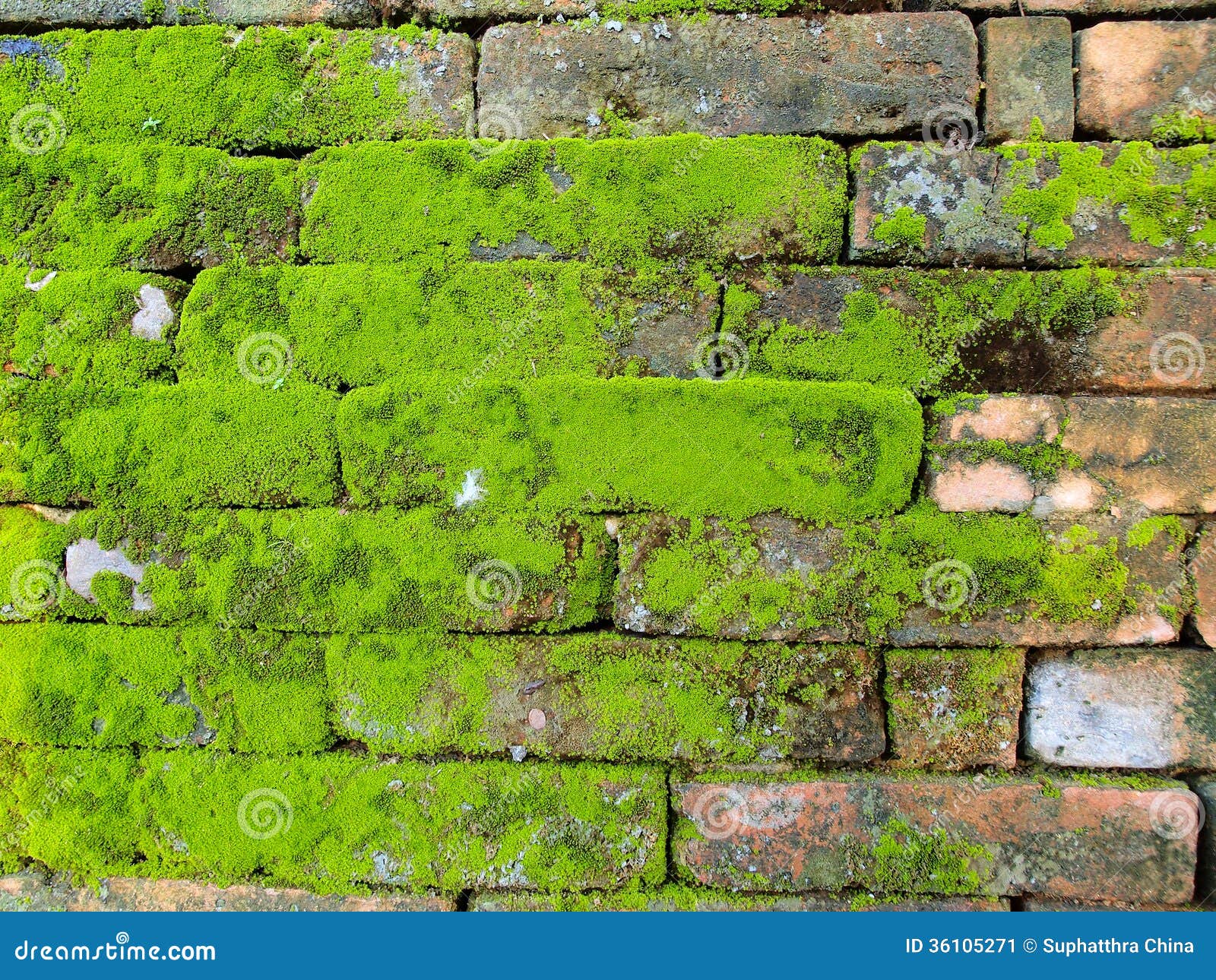 Old Wall brick with moss stock image. Image of covered - 36105271