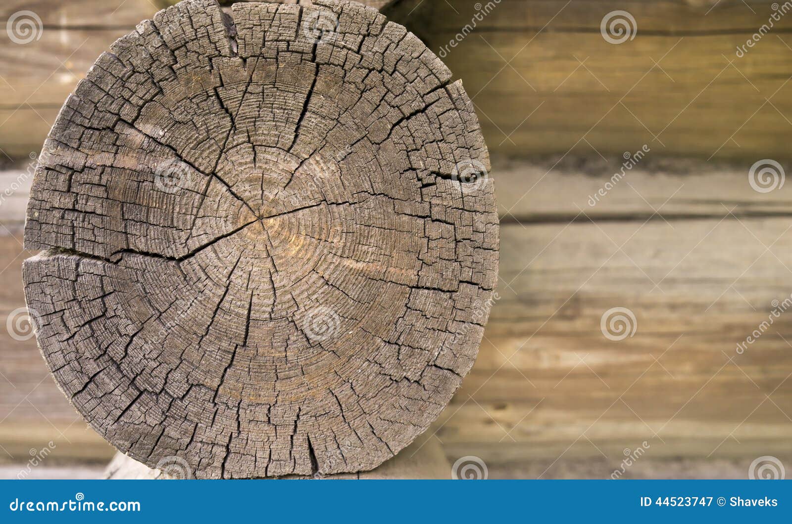Old Wall Circle Log Close Up Stock Image - Image of close, circle: 44523747
