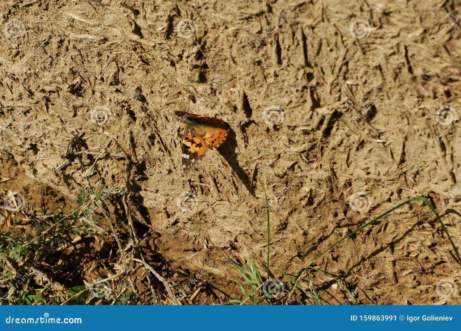 Old Wall of a Combination of Red Clay and Straw Stock Image - Image of ...
