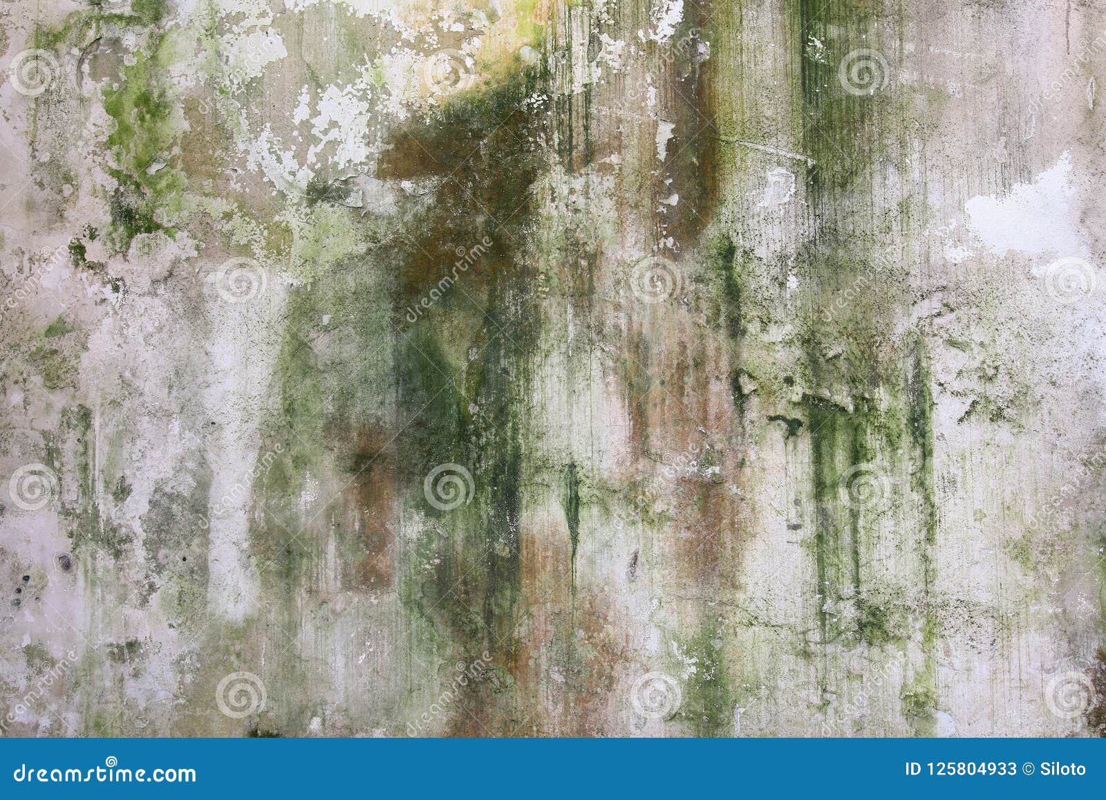 Old Wall Covered with Moss and Mold Stock Image - Image of soil ...