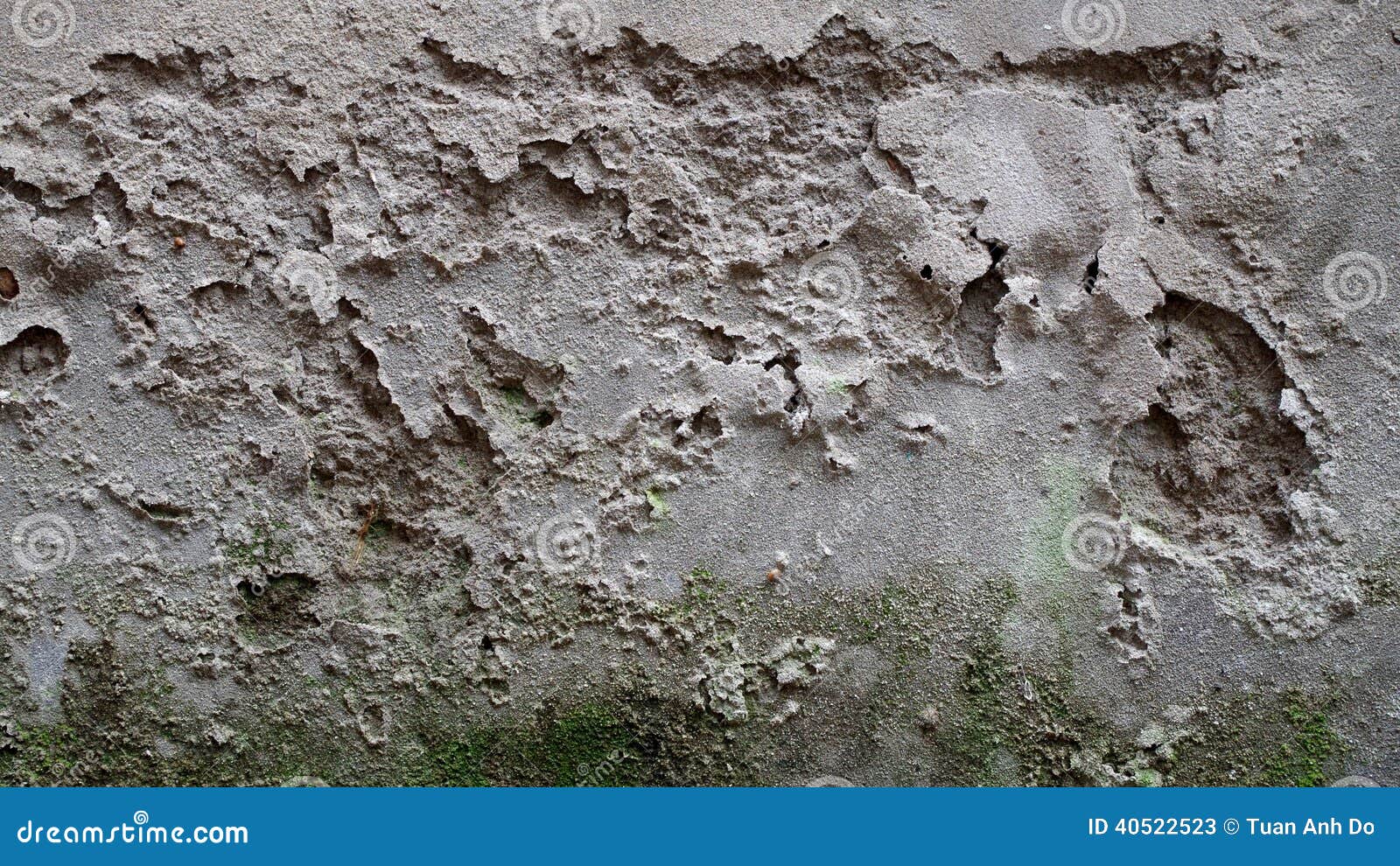 Old wall moss textures stock image. Image of installation - 40522523