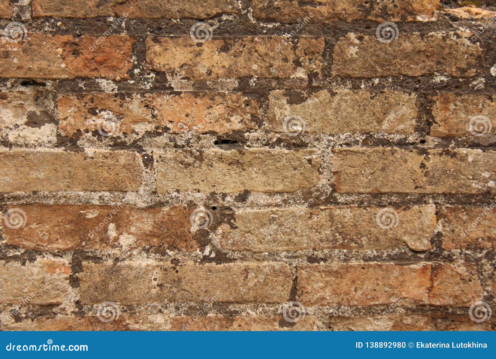 Old Wall of Red Bricks and White Brayed and Cracked Old Paint. Red ...
