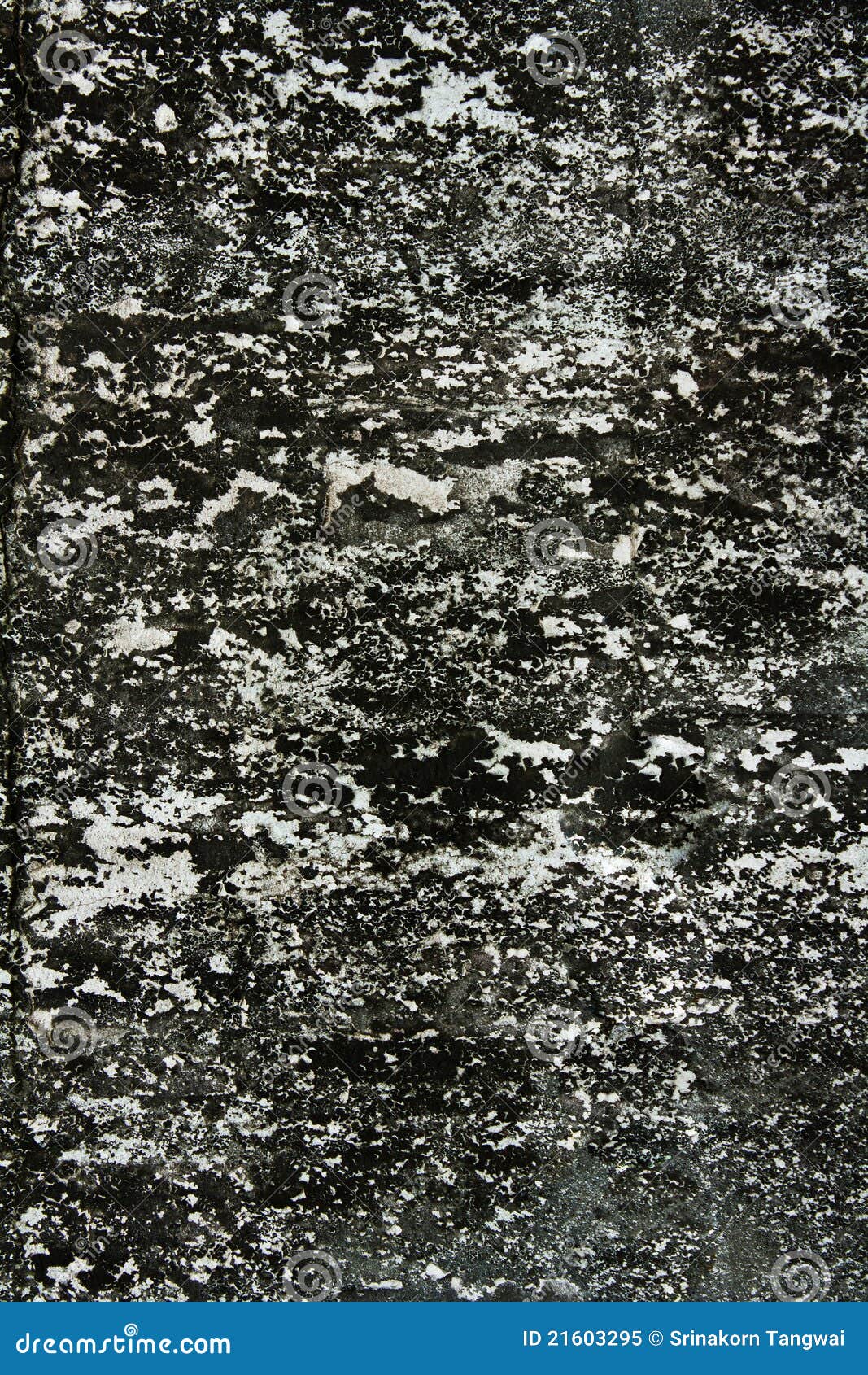 Old Wall. Texture Background Stock Image - Image of grunge, paint: 21603295