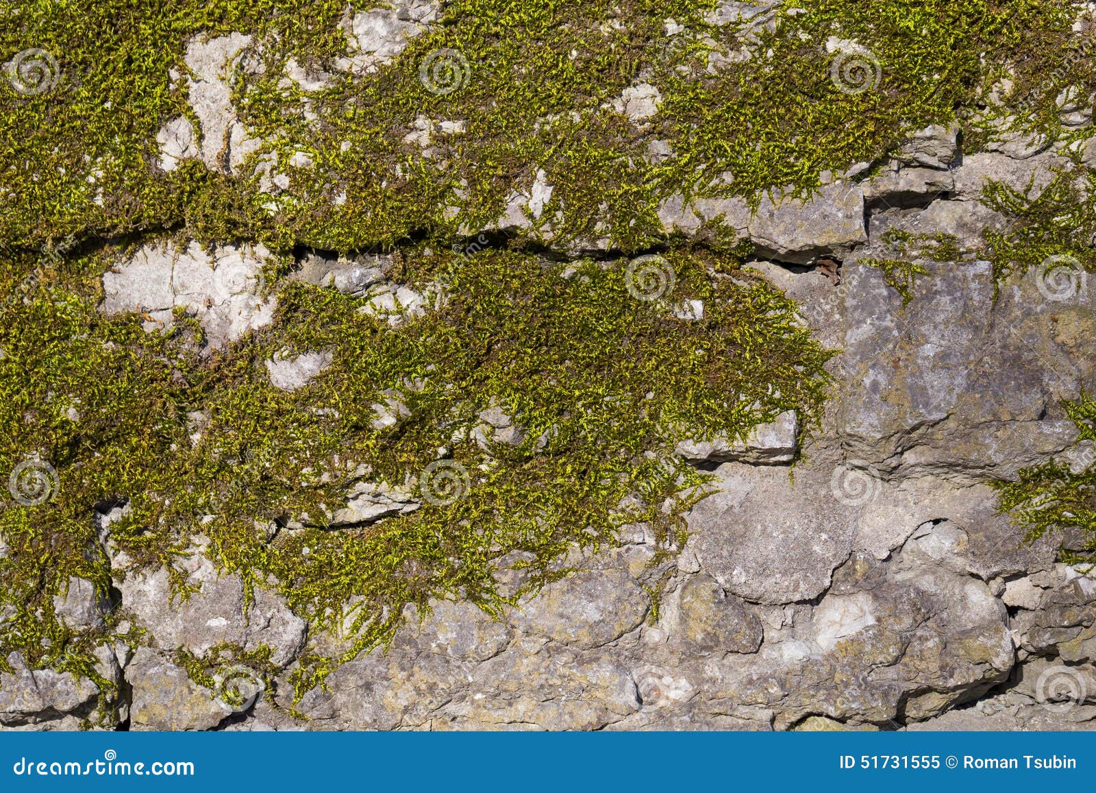 Old wall texture with moss stock image. Image of natural - 51731555