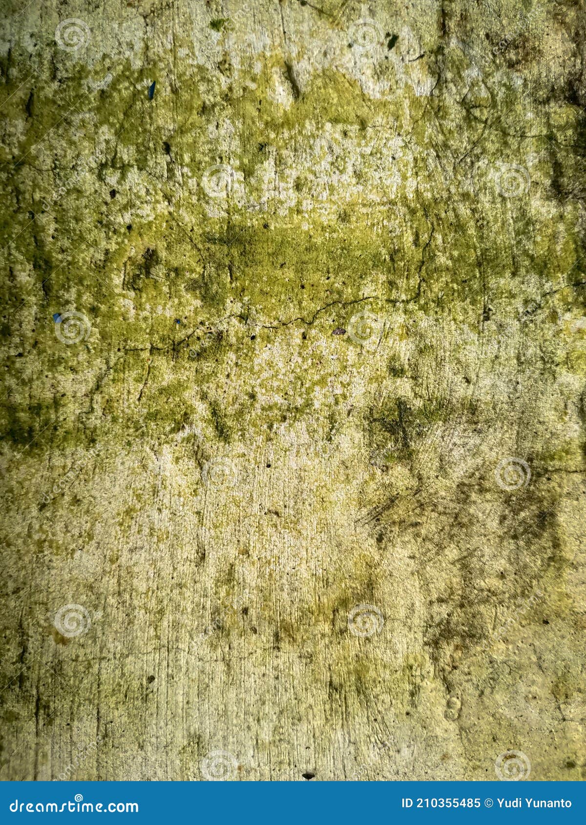 Old Wall Texture Overgrown with Moss Stock Image - Image of green, wall ...