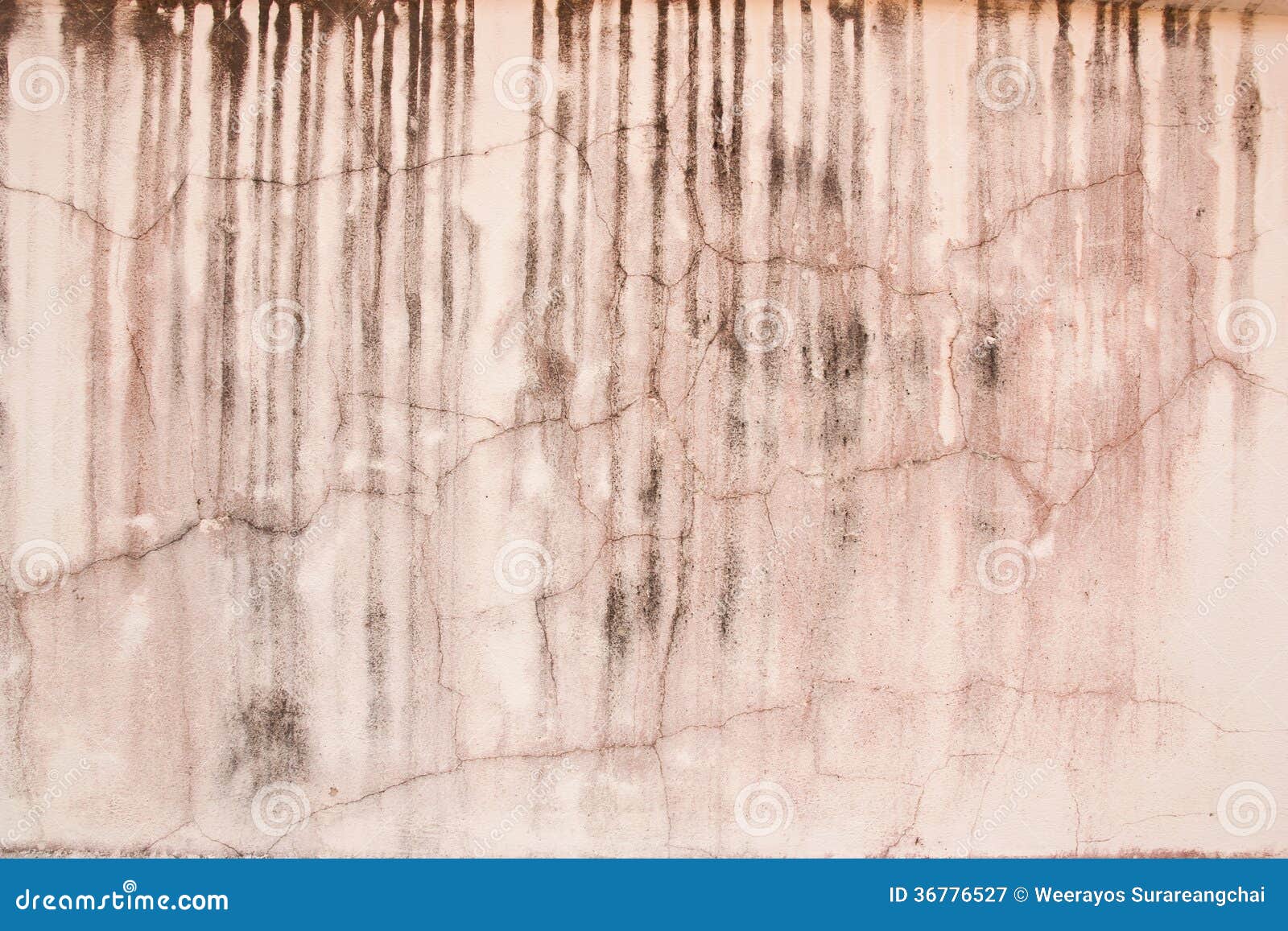 Old Wall Texture With Water Damage Royalty Free Stock Photography ...