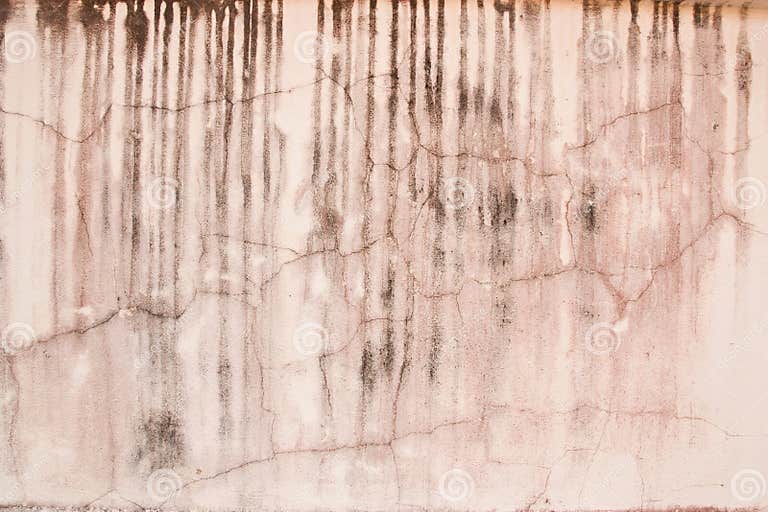Old Wall Texture with Water Damage Stock Image - Image of gritty, algae ...