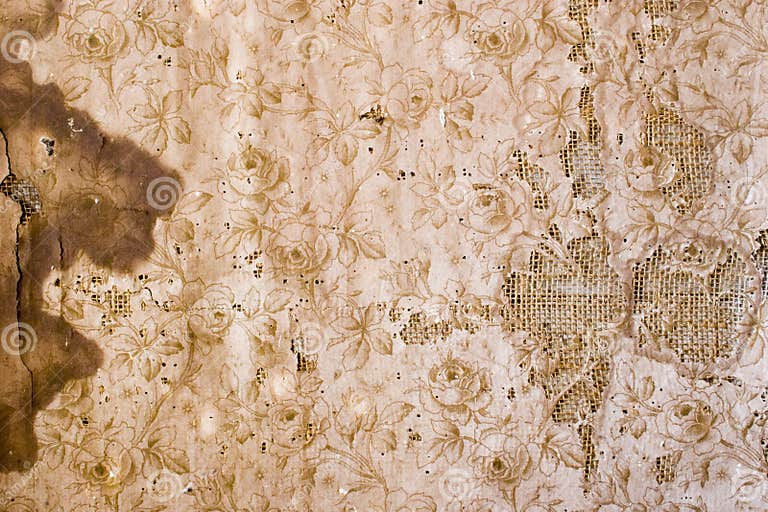 Old Wallpaper 03 stock image. Image of condemned, flower - 1052057