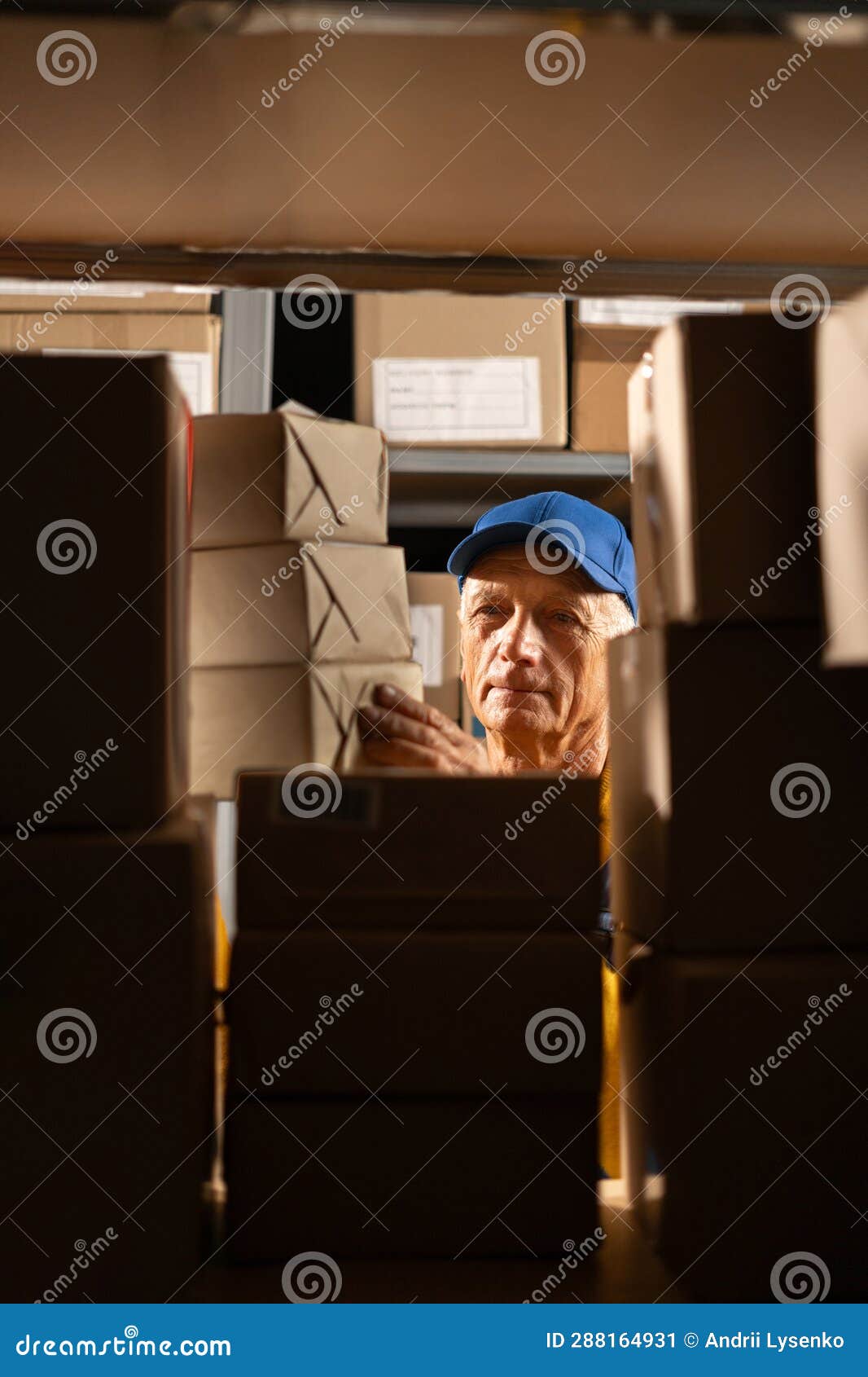 Old Warehouse Worker Taking Cardboard Boxes and Parcels on a Shelf in ...