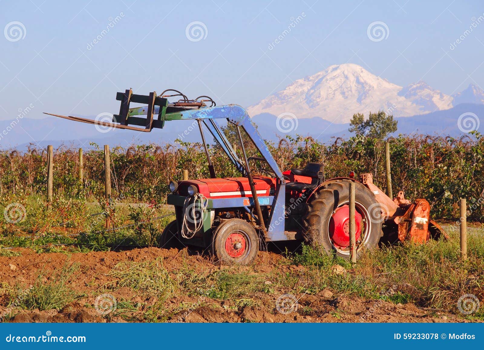 Old Washington Farm Tractor Stock Photo - Image of snow, highest: 59233078