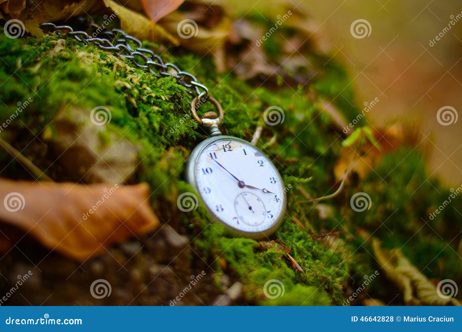 Old watch on fall leaves stock photo. Image of pass, leaves - 46642828