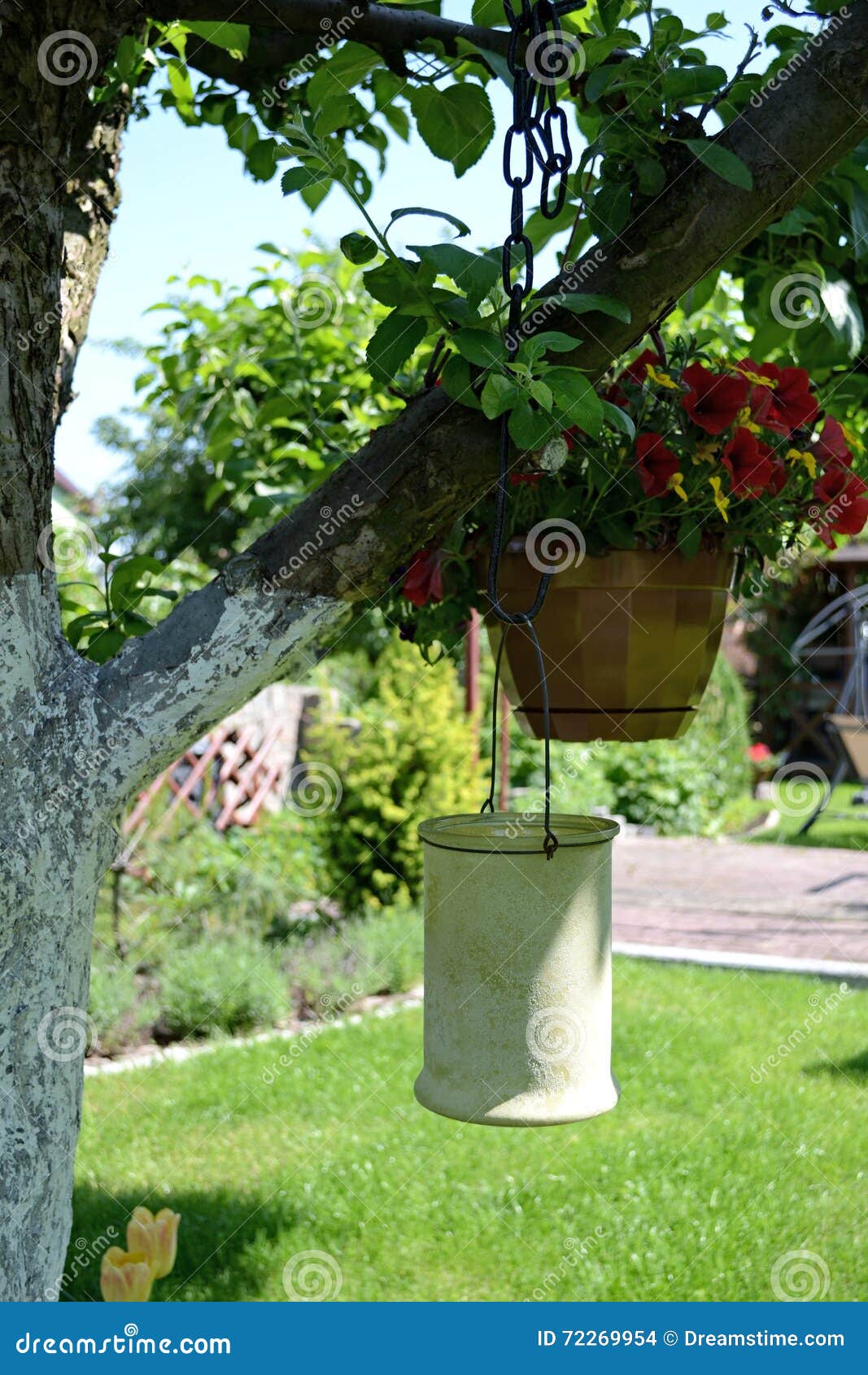 Old Water Can Hanging on a Tree Stock Photo - Image of hanging ...