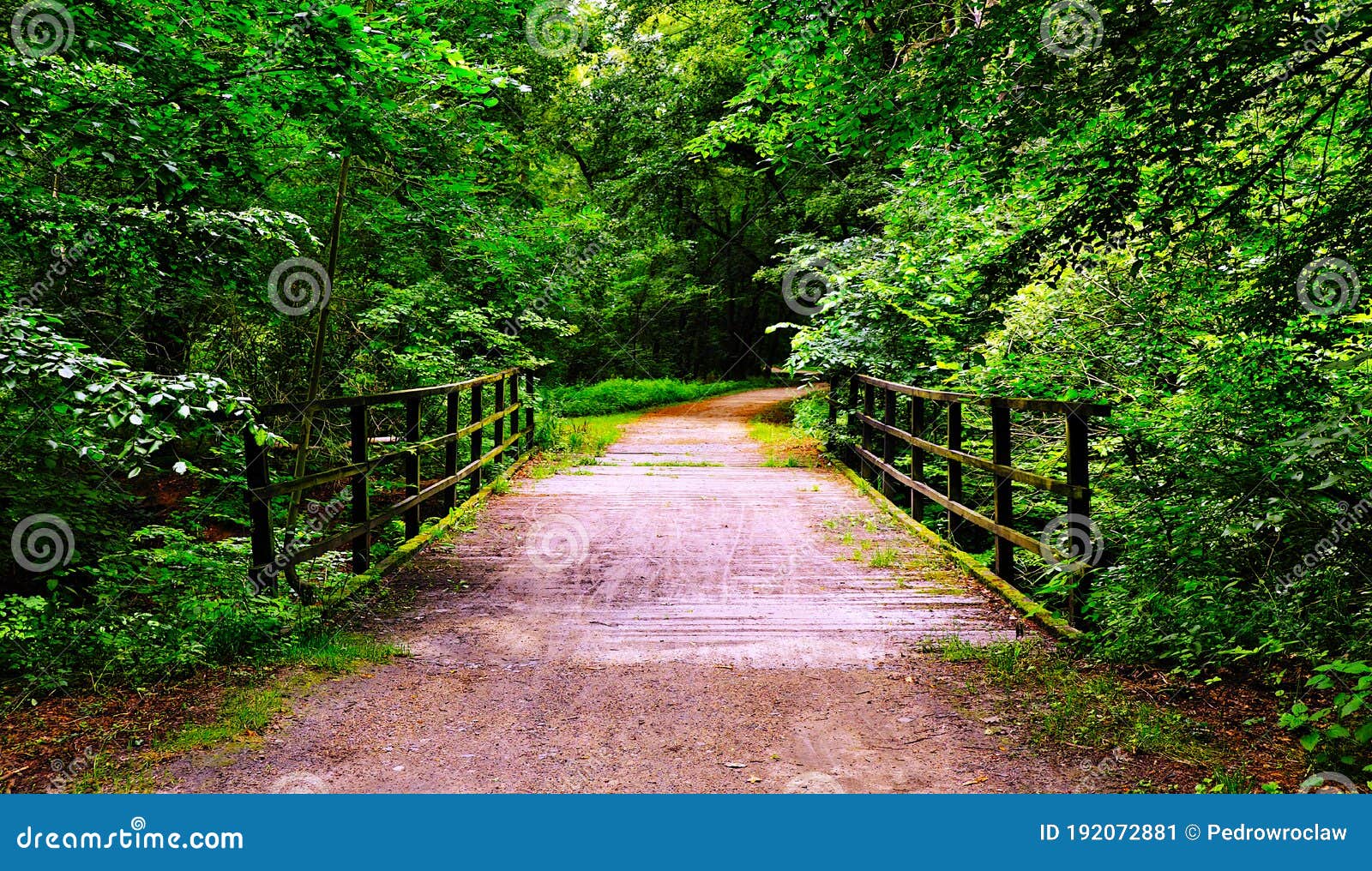Old Water Crossing on the River. Stock Image - Image of lakes, spring ...