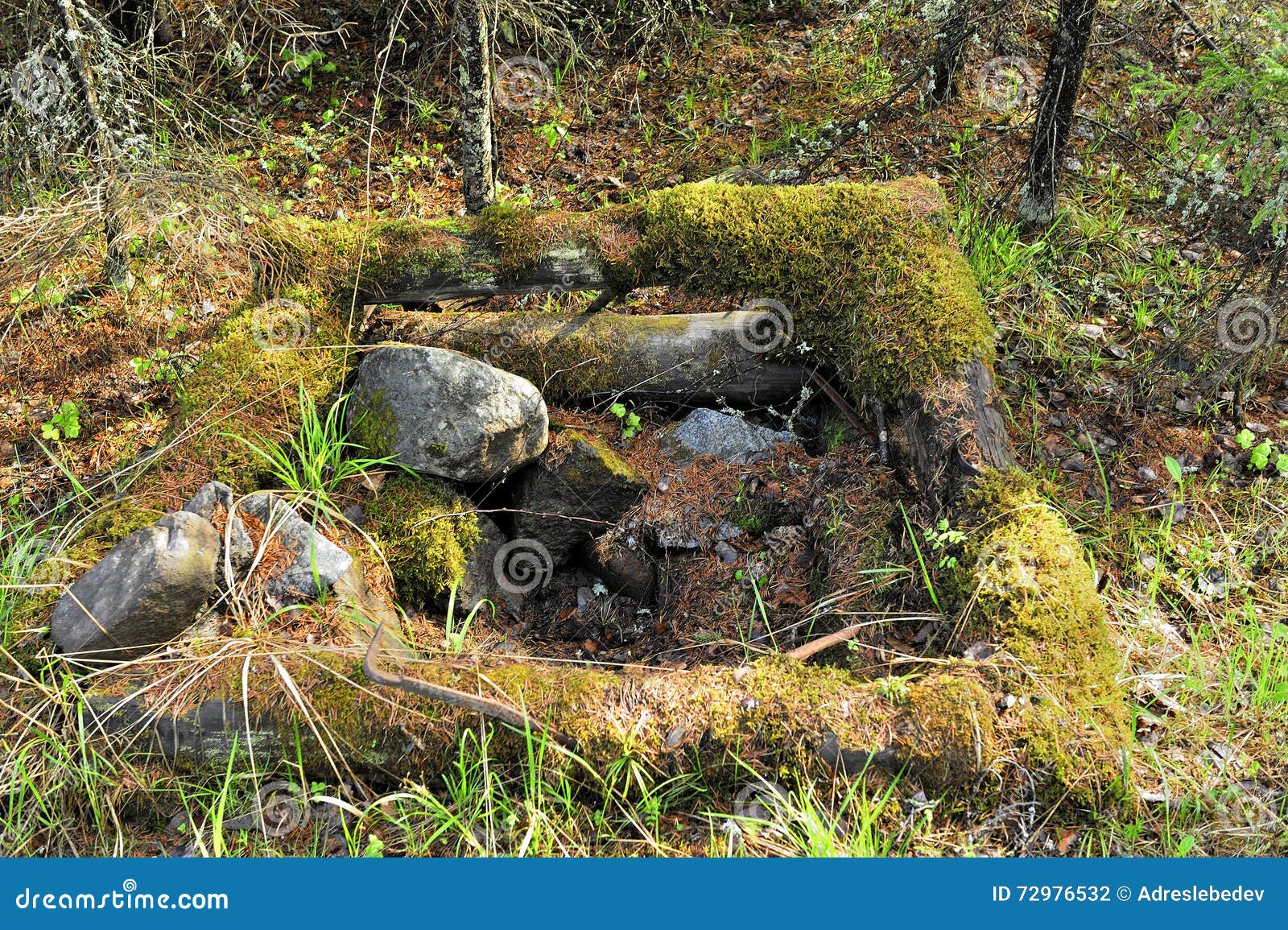 Old Water Parapet in the Forest Stock Photo - Image of forest, parapet ...