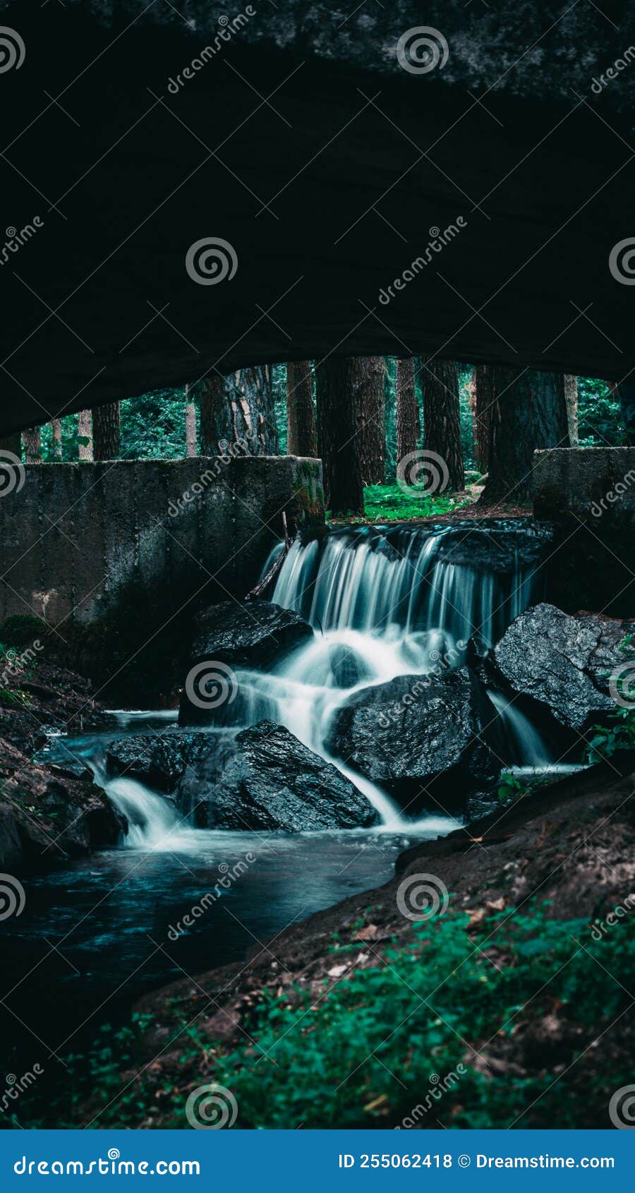 Old Waterfall in the Mountains Stock Photo - Image of tree, leaf: 255062418