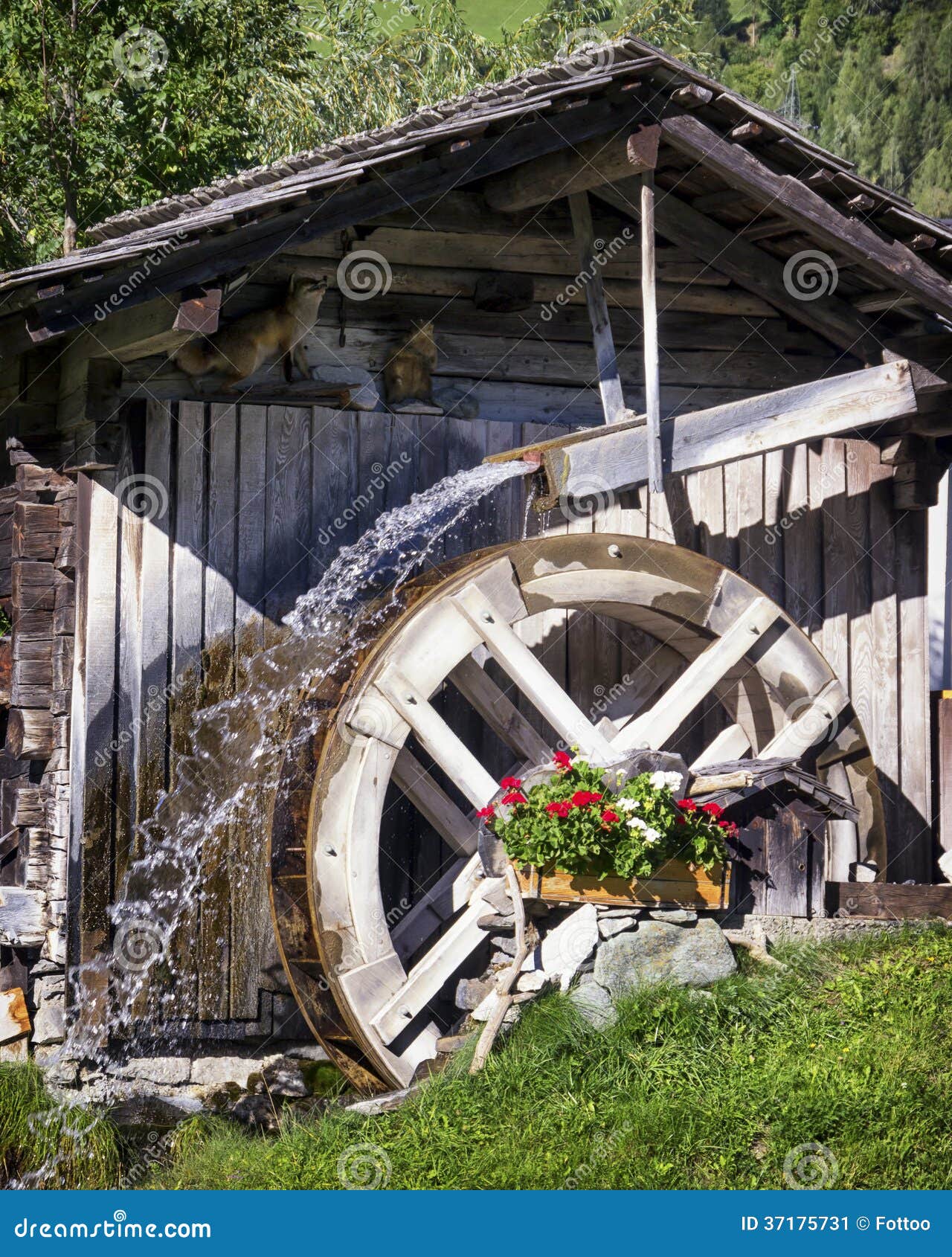 Old watermill stock image. Image of sunlight, spinning - 37175731
