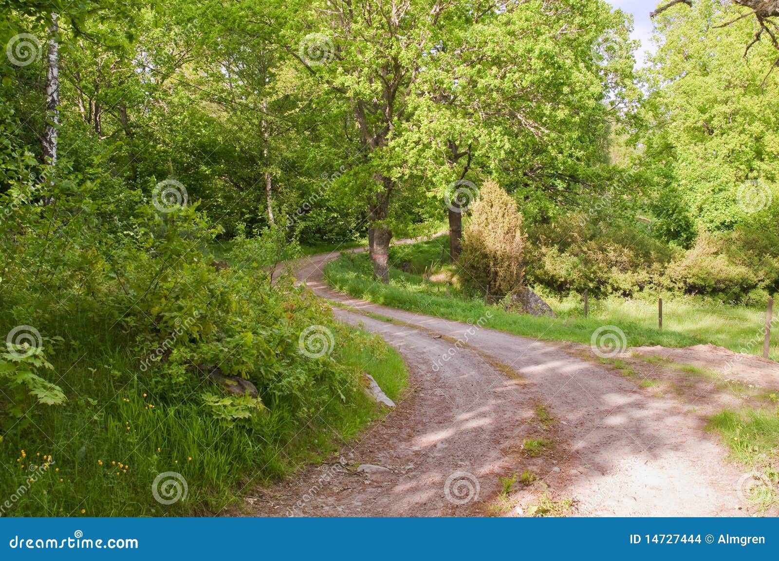 Old way stock photo. Image of beauty, countryside, meadow - 14727444