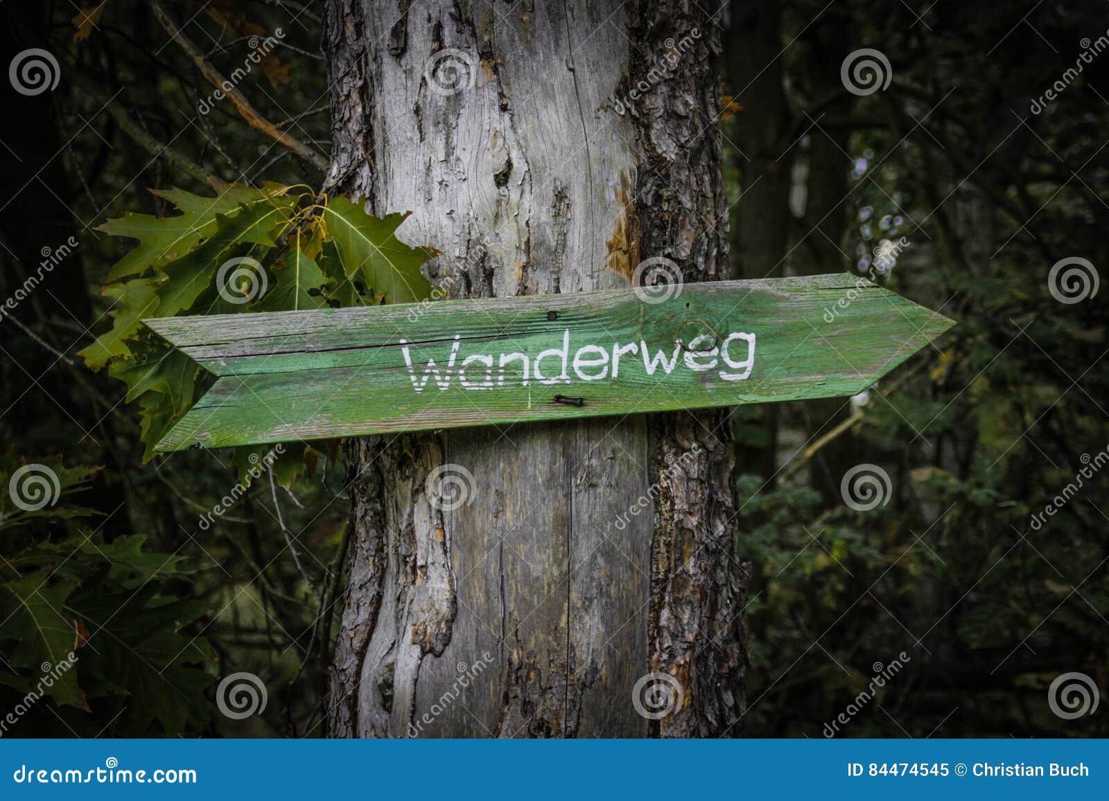 Old Waymarker at a Tree `footpath` Stock Image - Image of nature ...