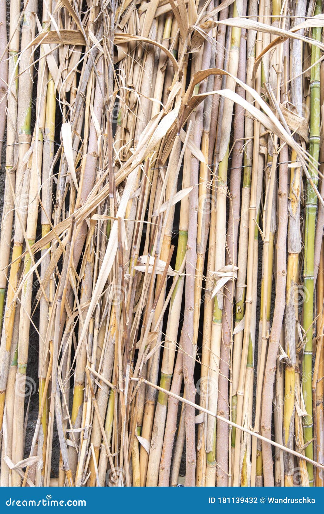 An Old Weathered Bound Reed Mat Stock Photo - Image of brown, cover ...