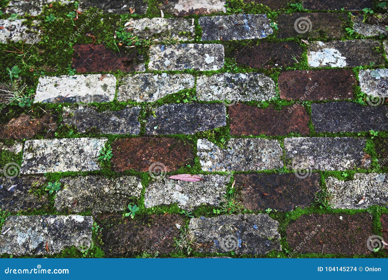 Old and Weathered Brick Footpath with Overgrown Moss Stock Photo ...